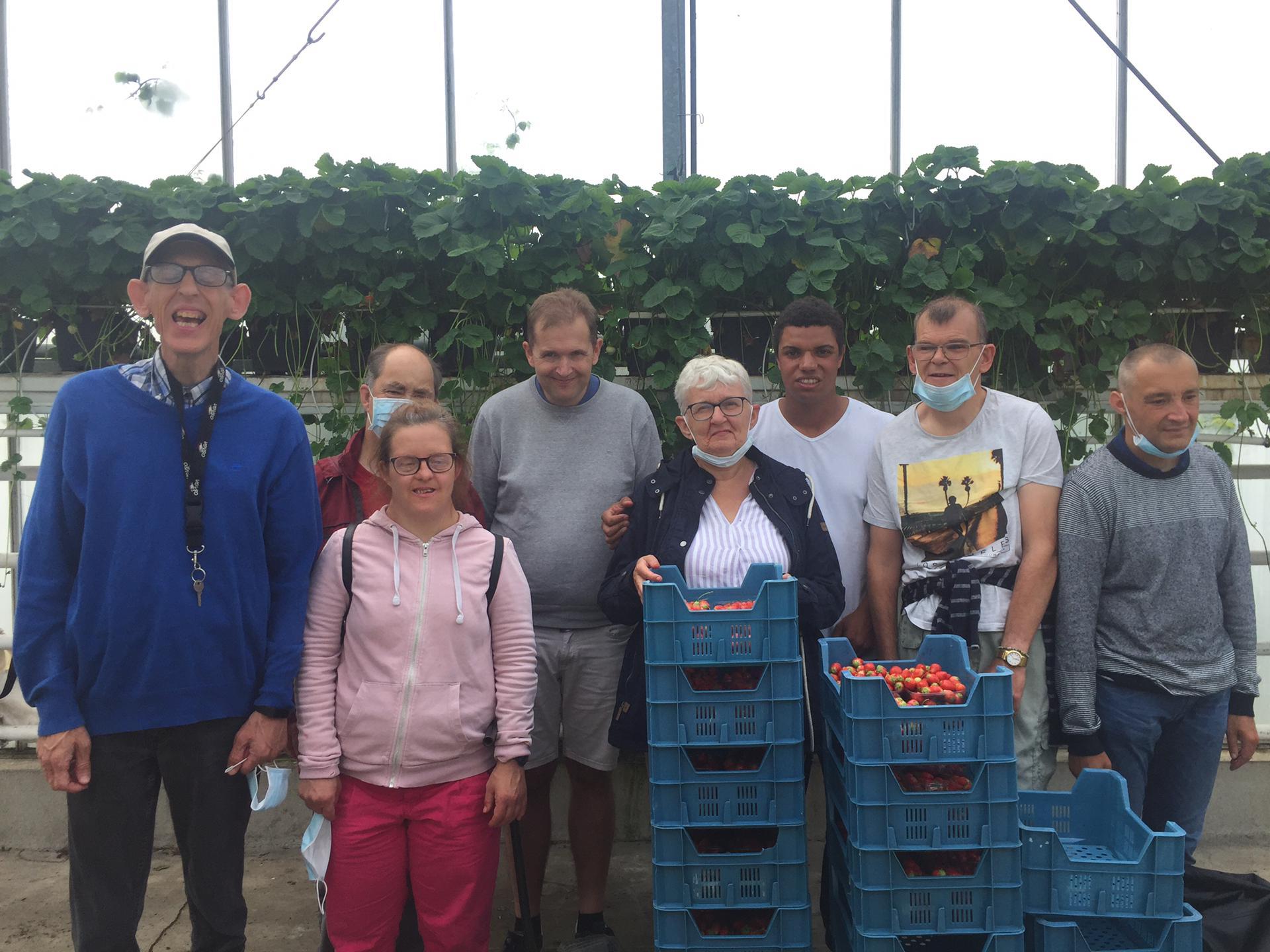 Aardbeien plukken | mekanders